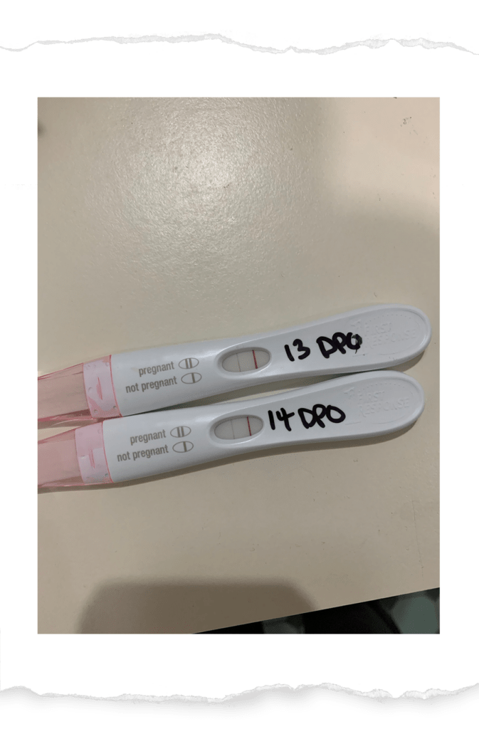 The Baby Blueprint - The Women Series